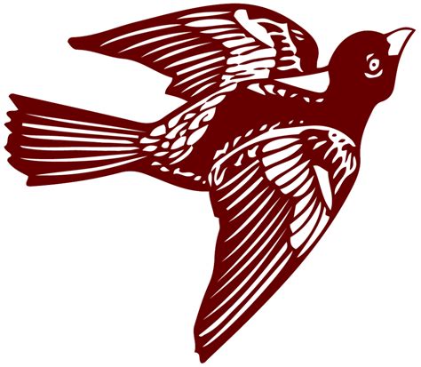 Five Stuttgart Ricebirds Earn All State Honors For 2025 Season