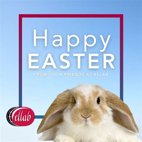 Ellab Validation And Monitoring Solutions On Linkedin Ellab Happyeaster