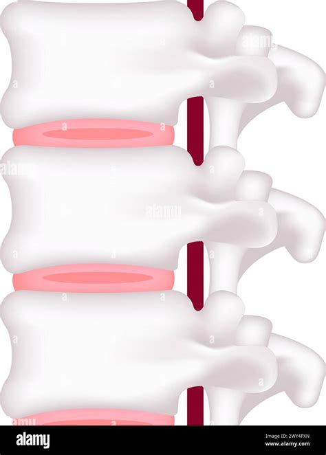 Vector Illustration Of Normal Disc Stock Vector Image And Art Alamy