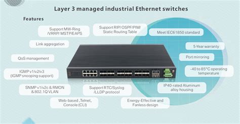 Layer 3 Ethernet Switches