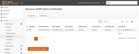 Create Lets Encrypt Wildcard Certificates On Opnsense With Acme Client Sysadmin102™