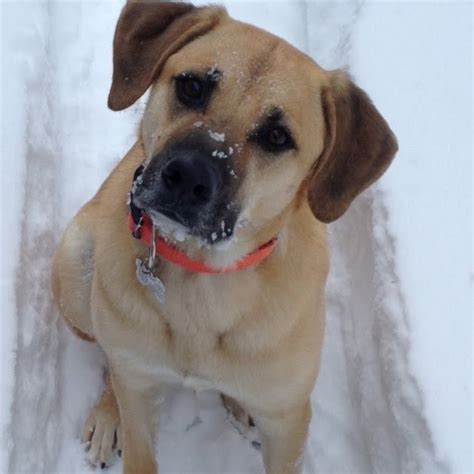 Brooke Carson Youtube