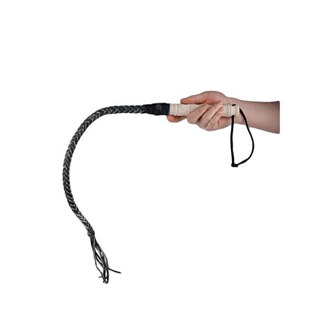 Whip Png