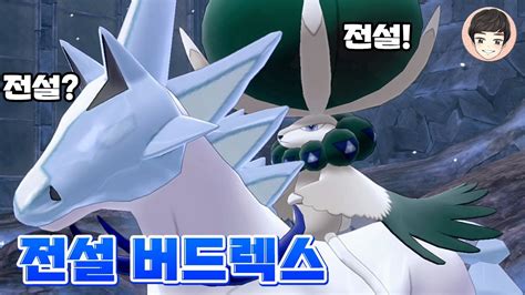 [ep 31] 왕관의 설원 Dlc 신규 전설 버드렉스랑 전설이 또 [포켓몬스터 소드 실드] Youtube