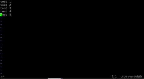 Linux Vim
