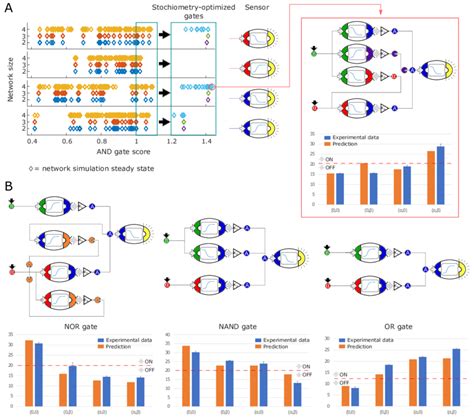 Model Generated Implementation Of Boolean Logic Gates A We Used An