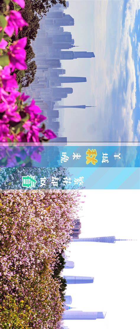 羊城秋来晚繁花却似春