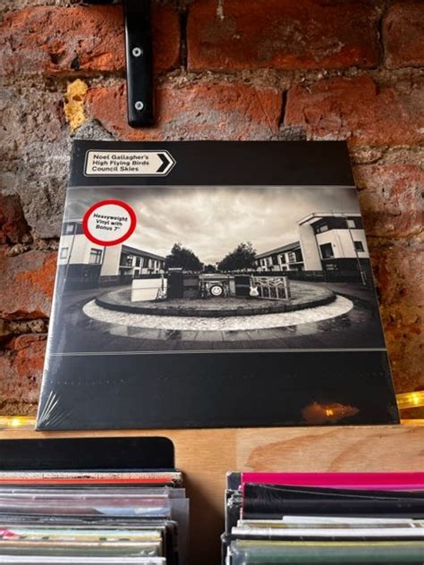 Lp Records Noel Gallagher Council Skies Vinyl