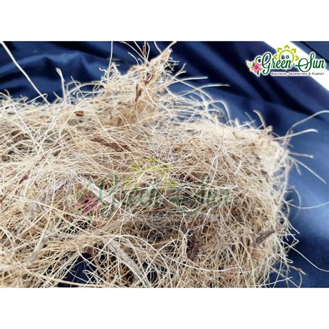 Jual Sabut Kelapa Fiber Media Tanam Anggrek Gram Shopee Indonesia