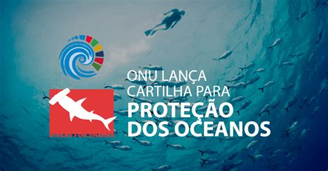 ONU lança cartilha para proteção dos oceanos Divers for Sharks