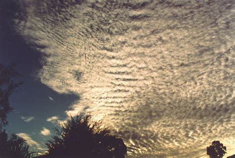 Meteorologeando Nubes 8 Altocumulus Stratiformis