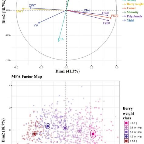 Multiple Factor Analysis Mfa Of Vine And Berry Parameters Of The New