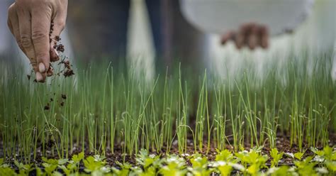 Usda To Invest 15 Million In Innovative Projects For Climate Smart