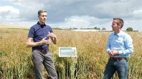 Michael Shuldham On Linkedin Npz Leading The Way In Stem Health