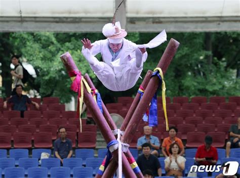 하늘을 날아 네이트 뉴스