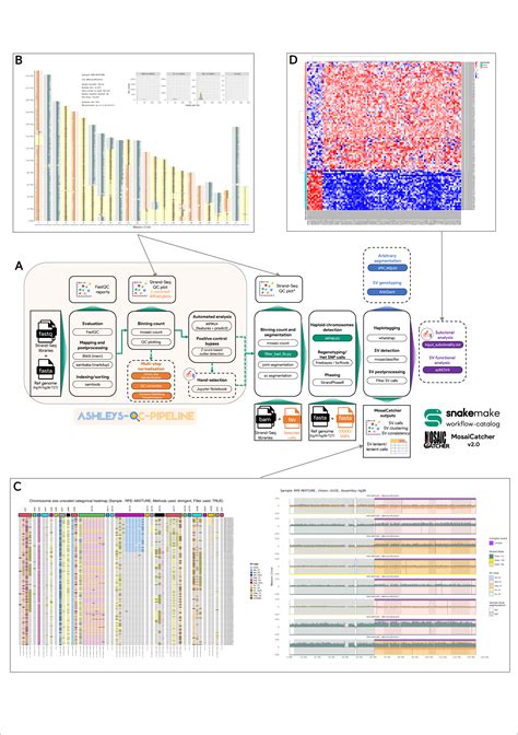 Awesome Genome Visualization