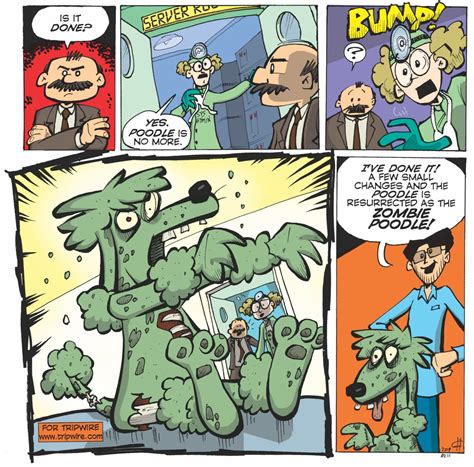 What Is Zombie Poodle Tripwire