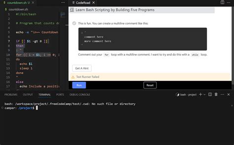 Learn Bash Scripting By Building Five Programs Test Runner Failed