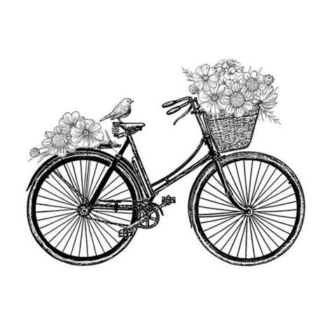 Dibujos De Bicicletas Para Colorear Descargar E Imprimir Colorear