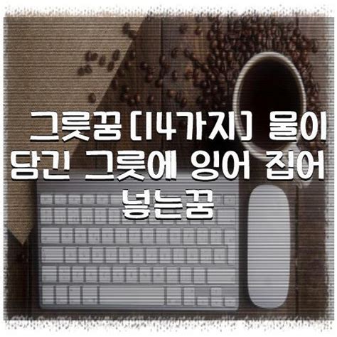 그릇꿈 14가지 물이 담긴 그릇에 잉어 집어 넣는꿈