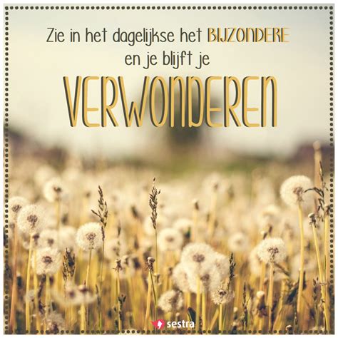 Zie In Het Dagelijkse Het Bijzondere En Je Blijft Je Verwonderen