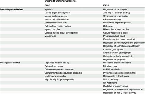 Functional Categories Enriched In Rna Seq Comparison Of E165 And E185