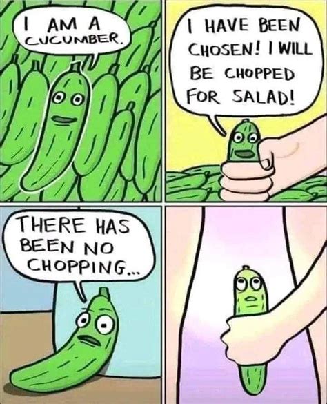 The Many Uses Of A Cucumber R Memes Know Your Meme