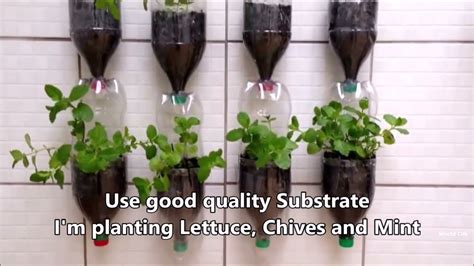 Bottle Garden Learn How To Make A Vertical Garden In Bottles Plastic