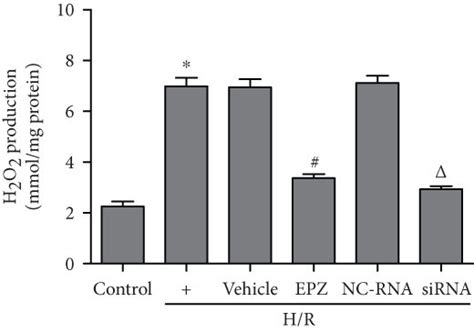 Prmt5 Inhibition Attenuated Hr Induced Pyroptosis In Hk 2 Cells A
