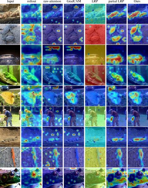 Figure From Transformer Interpretability Beyond Attention Visualization Semantic Scholar