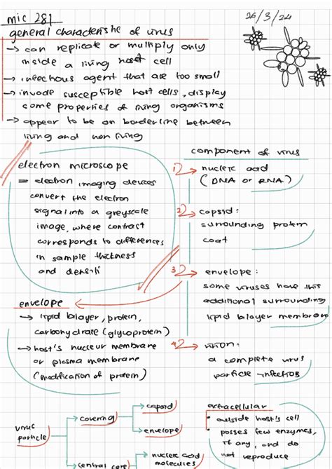 Introduction To Virus Schemes And Mind Maps Virology Docsity
