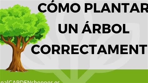 Consejos Prácticos Para Sembrar Tus Plantas De Manera Exitosa