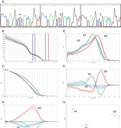 Genotyping Of Il28b Rs12979860 Snp By Sequencing And High Resolution