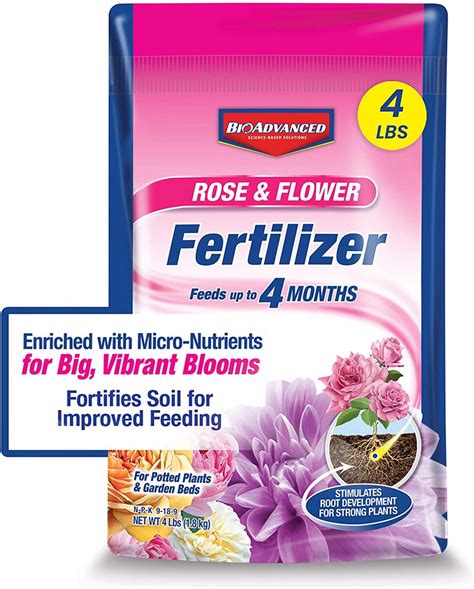 25 Best Rose Fertilizer For Healthy Blooms Storables