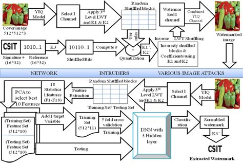 Watermark Embedding And Extraction Steps Download Scientific Diagram