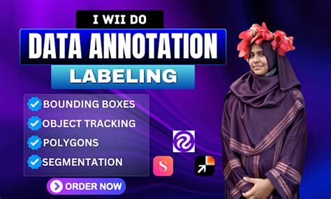 Do Image Annotation Data Labeling For Ai By Afsanahafsa Fiverr