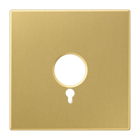 Centre Plate For Panic Button Antique Brass Me 2933 Panic At