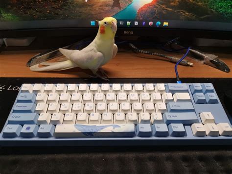 Varmilo 68鍵藍芽有線海韻鯨落主題機械鍵盤入手 Kenmingの鮮思維