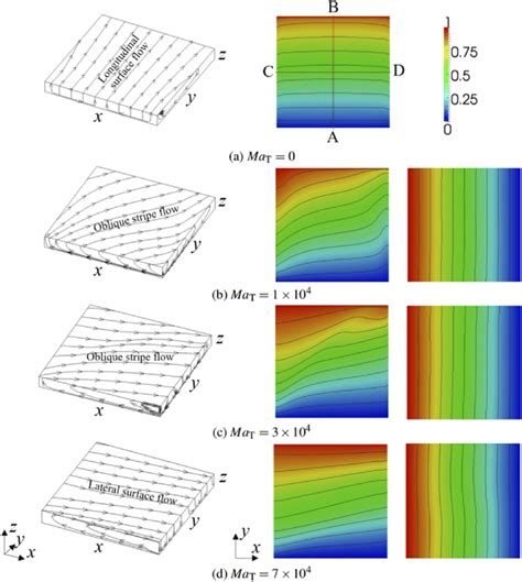 Streamlines Along The Boundaries Left Iso Concentration Lines