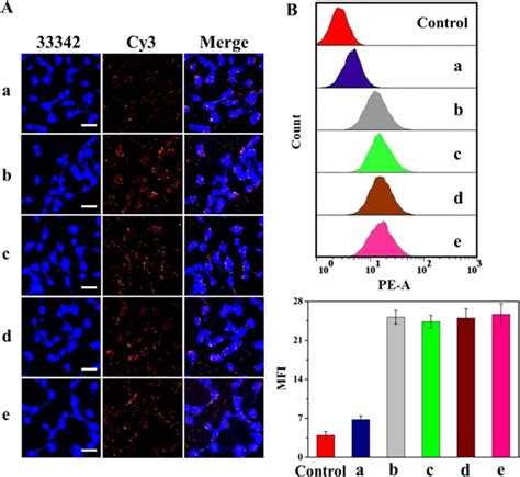 Confocal Microscopy Observation A And Flow Cytometry Analysis B On Download Scientific