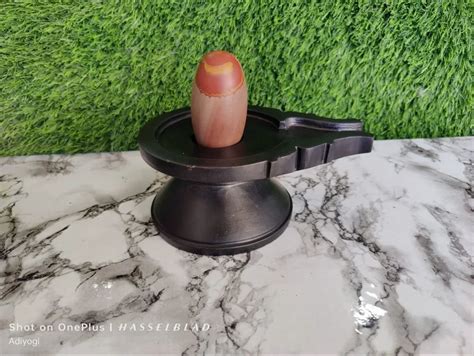 Stone Home Narmadeshwar Shivling At Rs 4500 In Khargone Id 2853110781330
