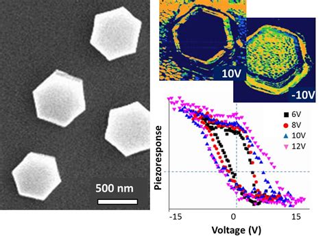 Resistive Switching And Polarization Reversal Of Hydrothermal Method Grown Undoped Zinc Oxide