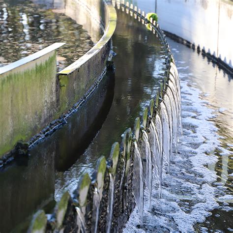 Escherichia Coli And Intestinal Enterococci Environment South West Water
