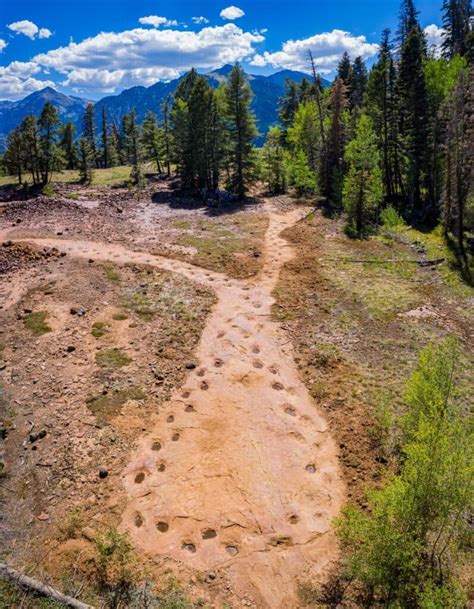 The Worlds Longest Track Of Dinosaur Footprints Has Been Hidden In