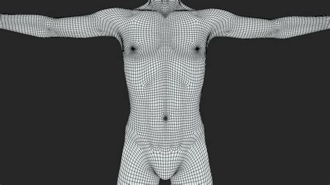 Human Body Mesh In T Pose STL File For D PrintingCults