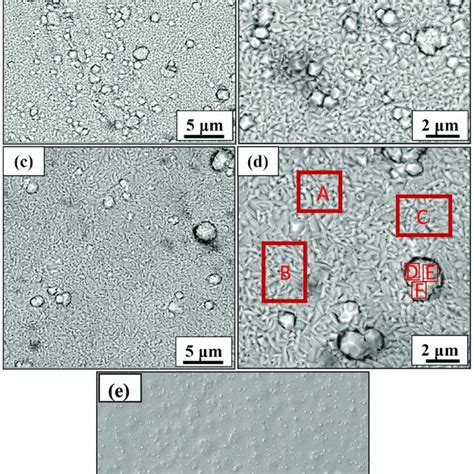 Sem Images Secondary Electron Of The Surface Of A B Ep And C D