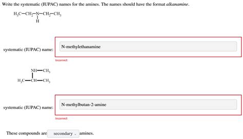 Solved Write the systematic (IUPAC) names for the amines. | Chegg.com