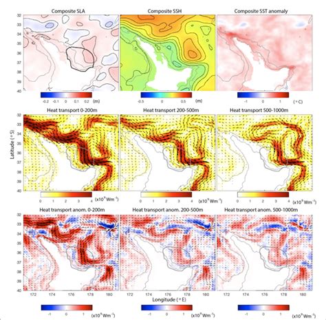 Top Ensemble Means Of Ssh Anomaly Ssh And Sst Anomaly Averaged Over