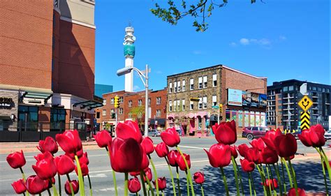 Moncton Canada