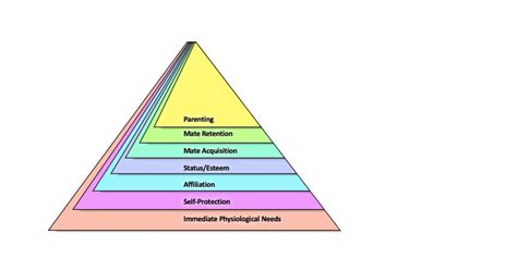 Maslow Hierarchy Of Needs Self Transcendence